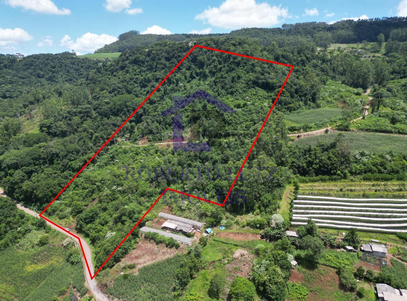 Área Rural para Venda, São Vendelino / RS, bairro VALE SUICO, área ...